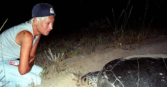 Lebanese Conservationist Who Protected Endangered Sea Turtles Died ...