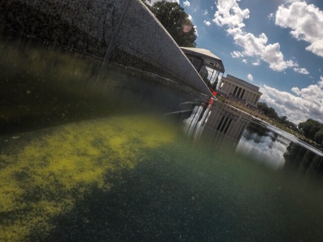 Peeling paint adds to woes of Trump's pool project - Breitbart