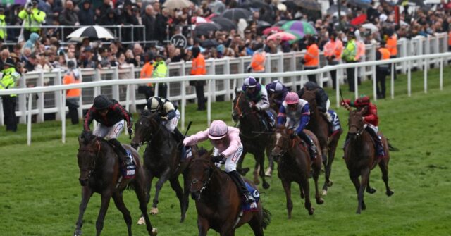 Christmas Day lights up Epsom Derby as O'Brien makes more history ...