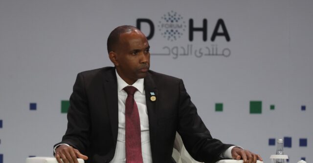 Somalia ex-PM says attacked by govt forces in Mogadishu - Breitbart